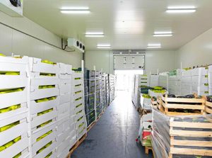 Home | Innovating Refrigeration, Delivering Quality!